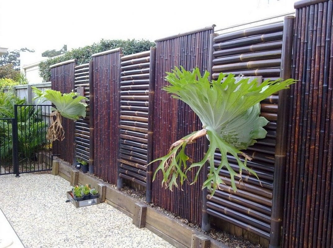 25 Bamboo Fence Ideas for Privacy and Aesthetic