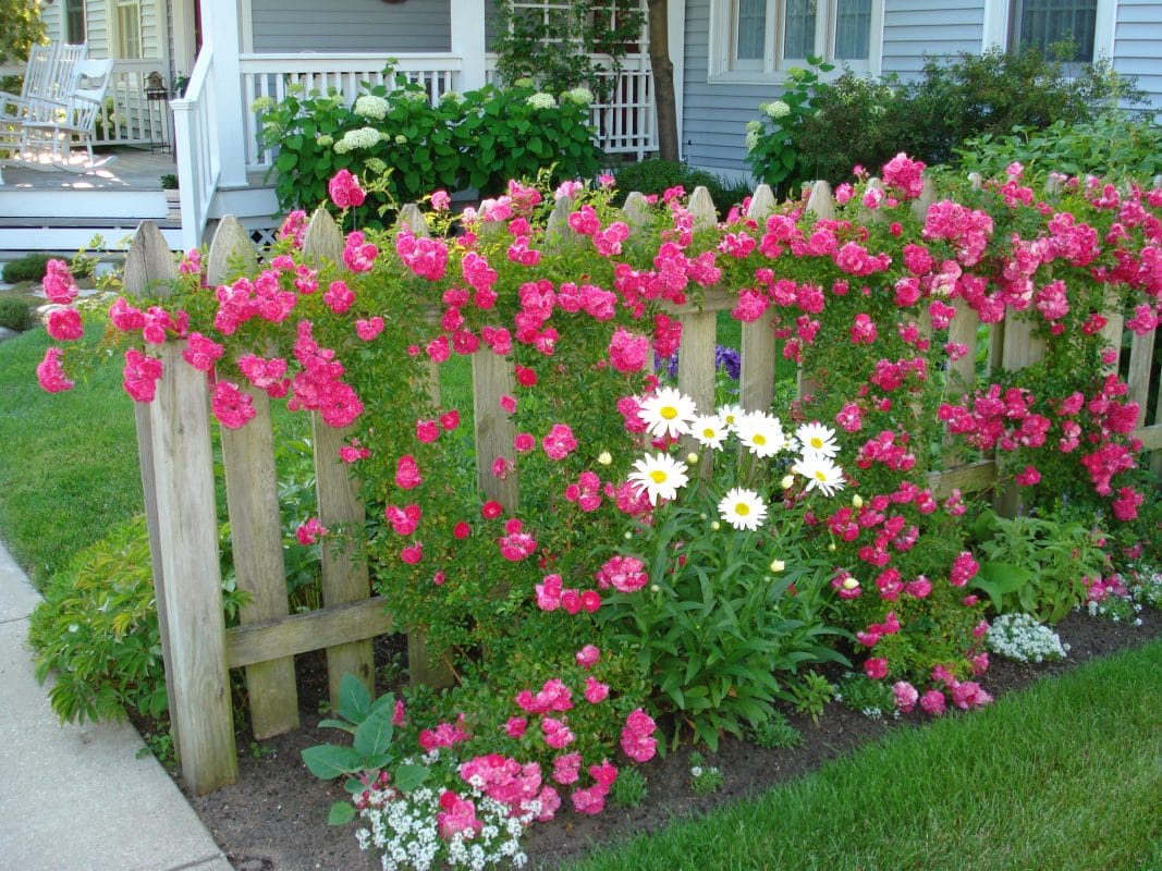 22 Inspiring Landscaping Along a Fence Ideas