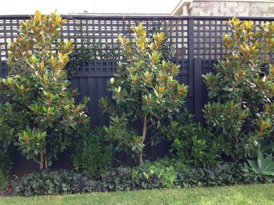 22 Inspiring Landscaping Along a Fence Ideas